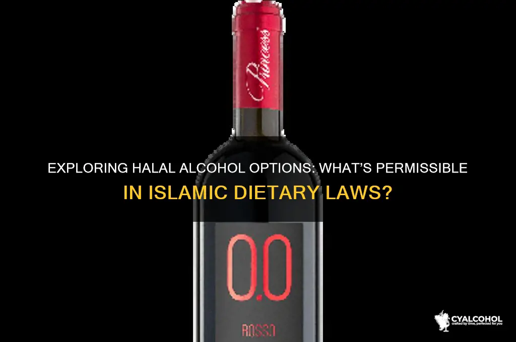Exploring Halal Alcohol Options: What’S Permissible In Islamic Dietary ...