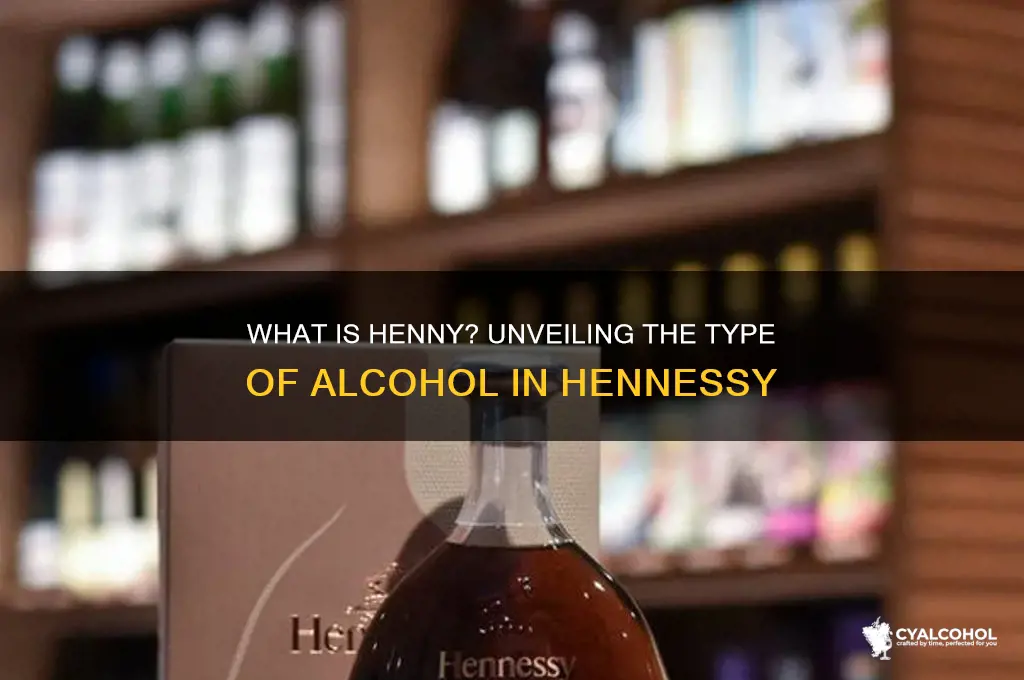 What Is Henny? Unveiling The Type Of Alcohol In Hennessy | CyAlcohol