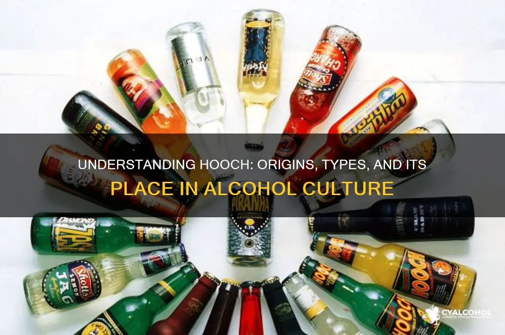 Understanding Hooch: Origins, Types, And Its Place In Alcohol Culture ...