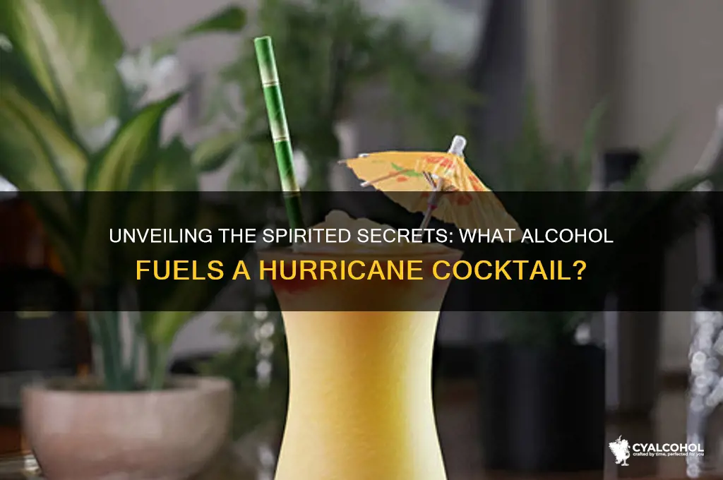 Unveiling The Spirited Secrets: What Alcohol Fuels A Hurricane Cocktail ...
