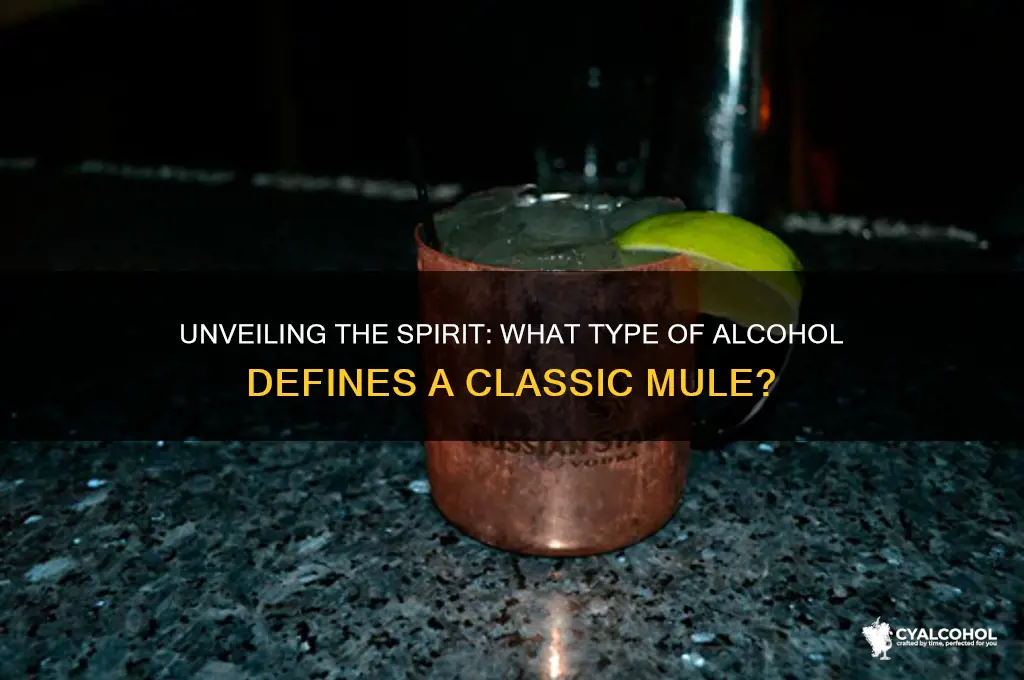 Unveiling The Spirit: What Type Of Alcohol Defines A Classic Mule ...