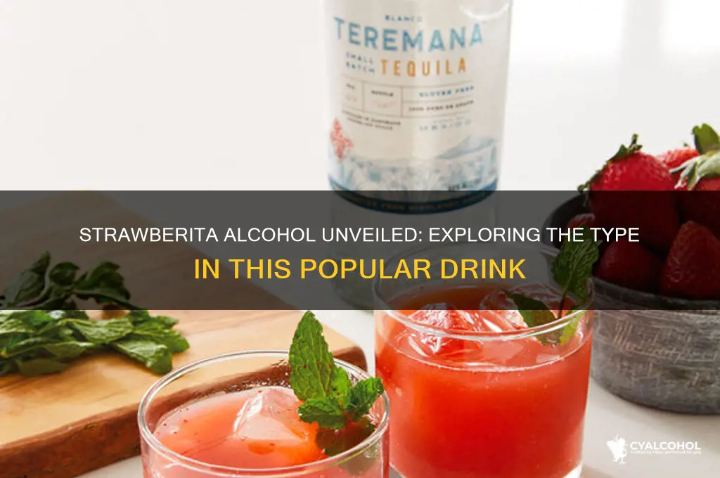 Strawberita Alcohol Unveiled: Exploring The Type In This Popular Drink ...