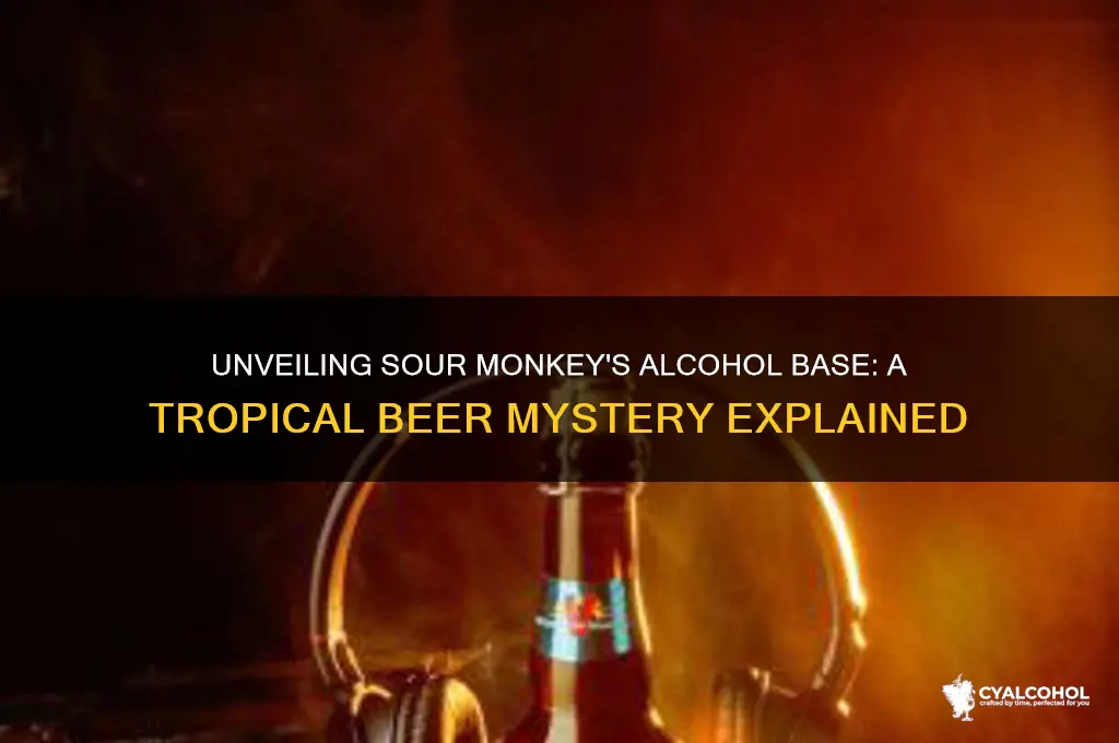 Unveiling Sour Monkey's Alcohol Base: A Tropical Beer Mystery Explained ...