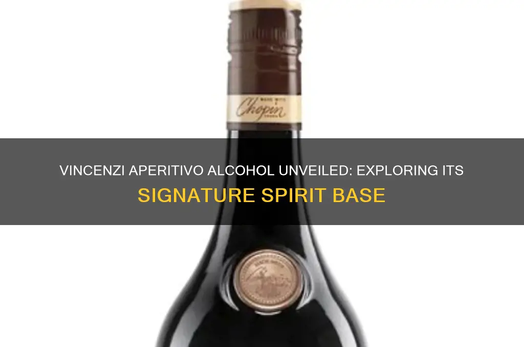 Vincenzi Aperitivo Alcohol Unveiled: Exploring Its Signature Spirit ...