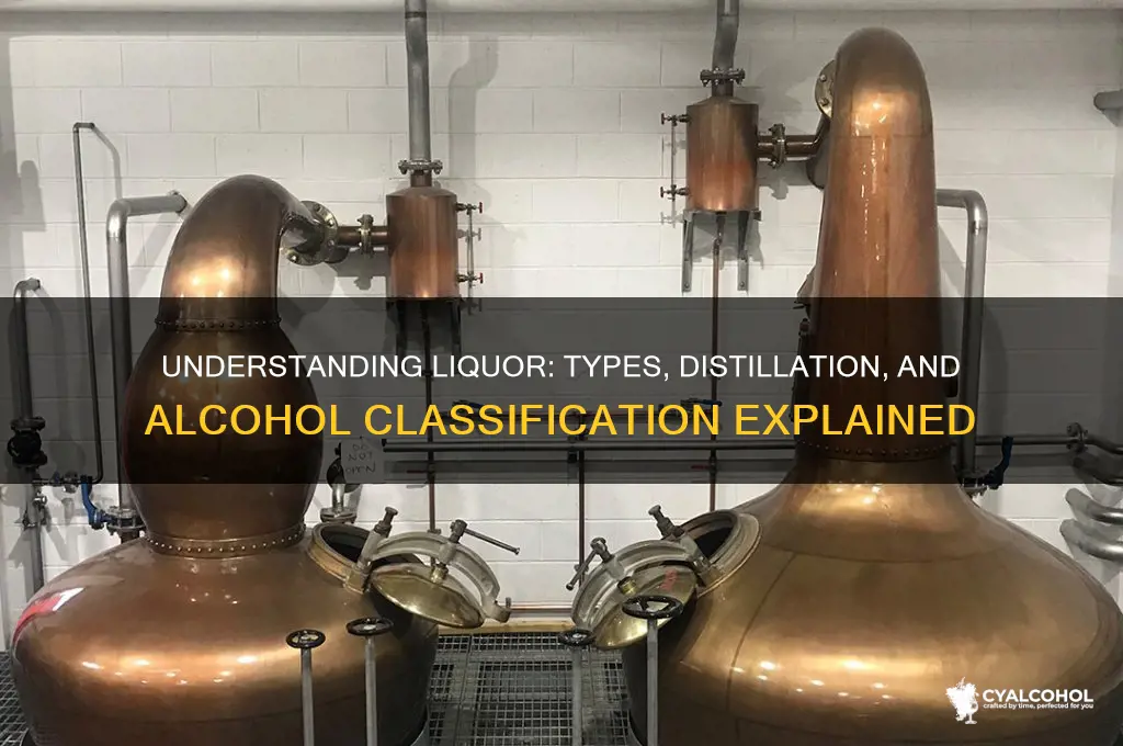 Understanding Liquor: Types, Distillation, And Alcohol Classification ...