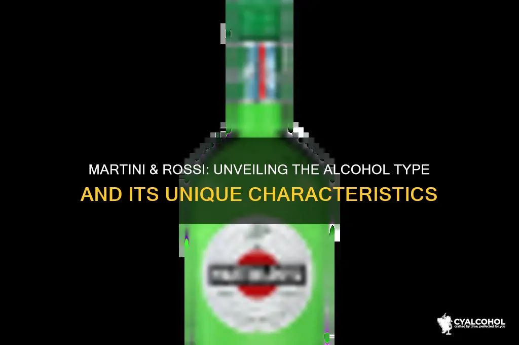 Martini & Rossi: Unveiling The Alcohol Type And Its Unique ...