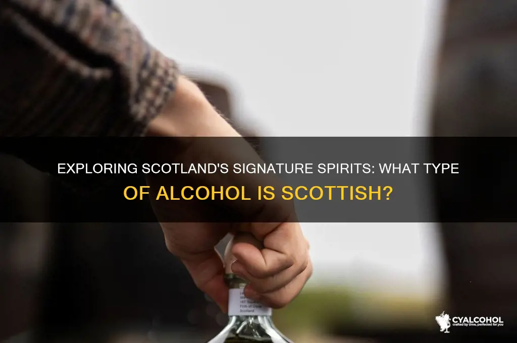 Exploring Scotland's Signature Spirits: What Type Of Alcohol Is ...
