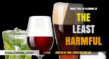 Understanding Jagermeister: Its Unique Type And Alcohol Classification ...