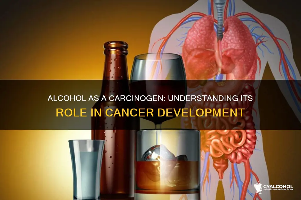 Alcohol As A Carcinogen: Understanding Its Role In Cancer Development ...