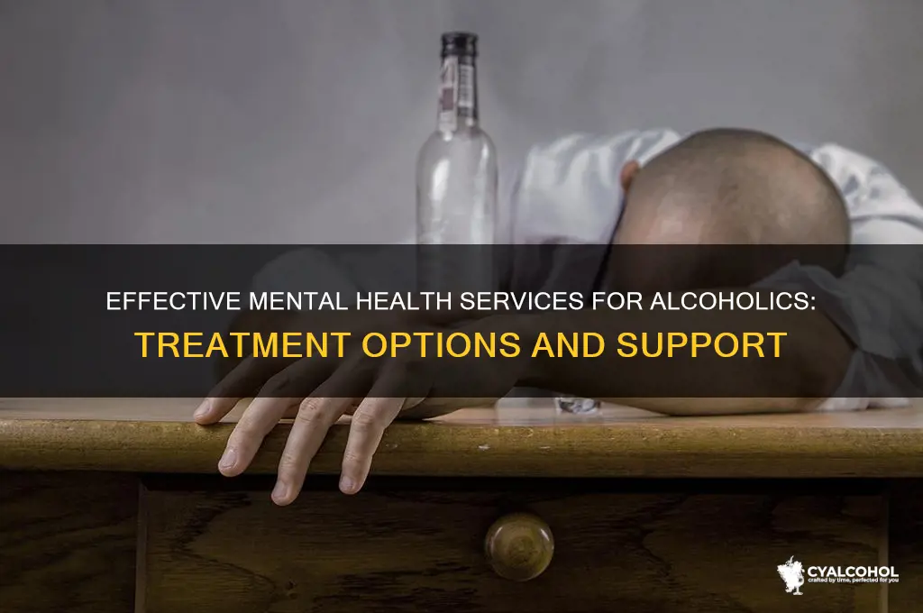 Effective Mental Health Services For Alcoholics: Treatment Options And ...