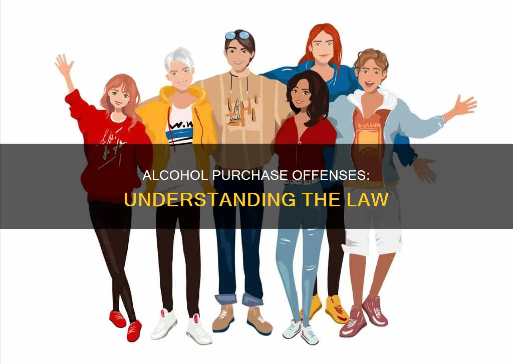 Alcohol Purchase Offenses: Understanding The Law | CyAlcohol