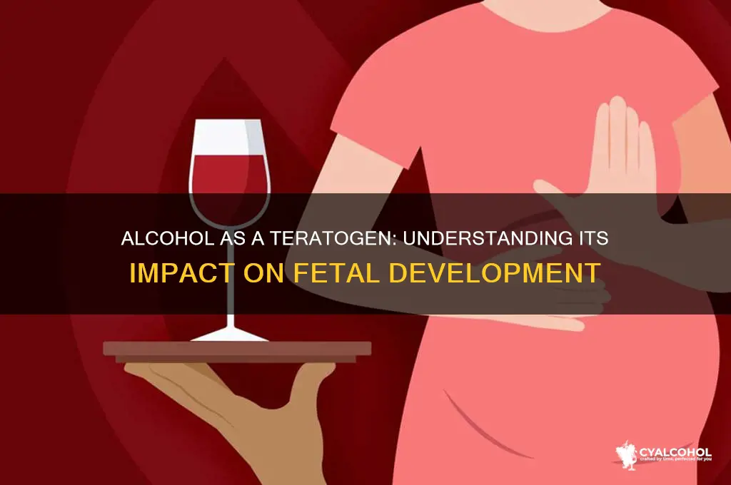 Alcohol As A Teratogen: Understanding Its Impact On Fetal Development ...