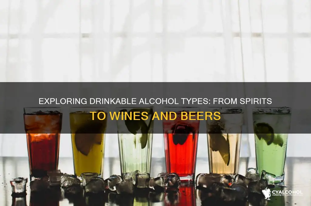 Exploring Drinkable Alcohol Types: From Spirits To Wines And Beers ...