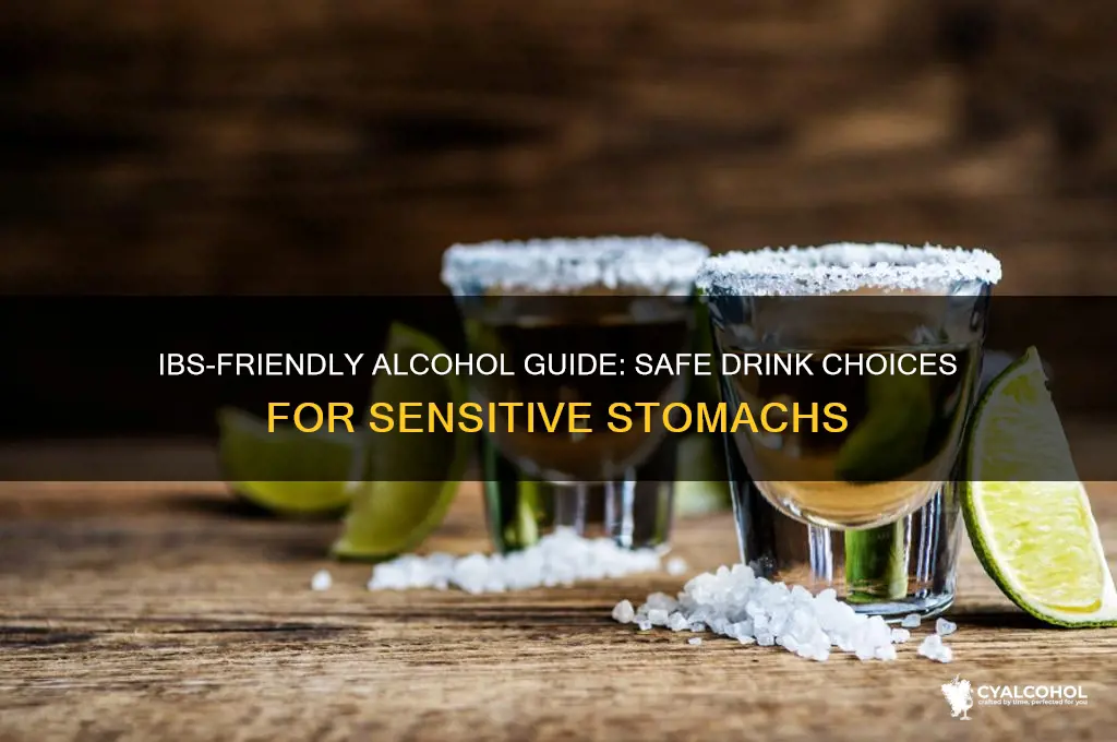 Ibs-Friendly Alcohol Guide: Safe Drink Choices For Sensitive Stomachs ...
