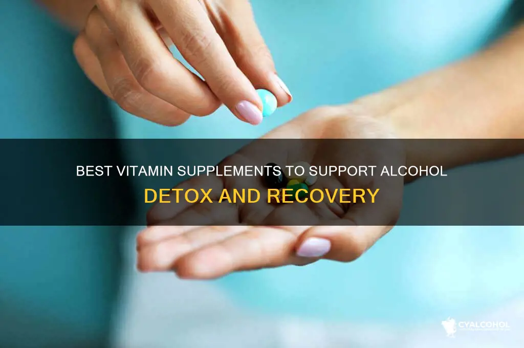 Best Vitamin Supplements To Support Alcohol Detox And Recovery | CyAlcohol
