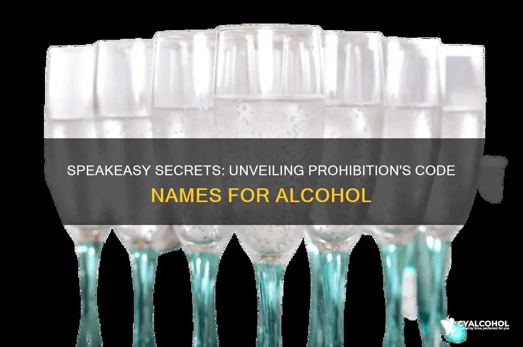 Speakeasy Secrets: Unveiling Prohibition's Code Names For Alcohol ...