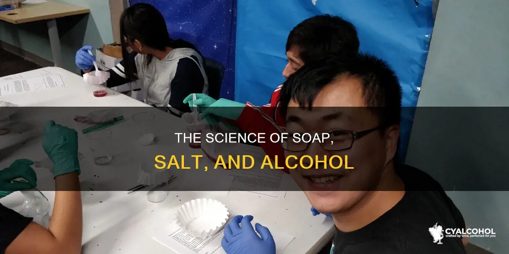 The Science Of Soap, Salt, And Alcohol | CyAlcohol