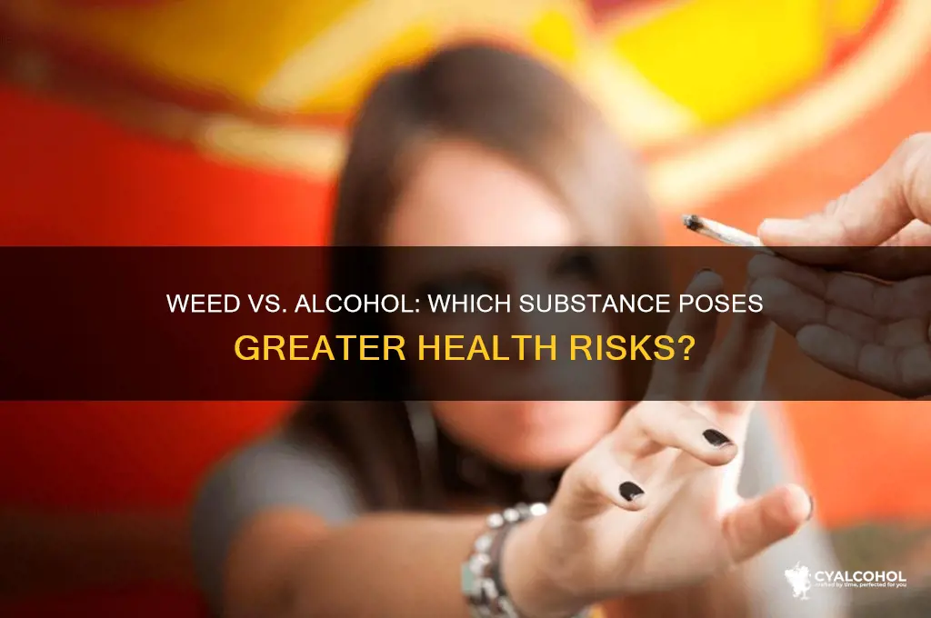 Weed Vs. Alcohol: Which Substance Poses Greater Health Risks? | CyAlcohol