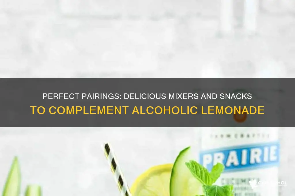 Perfect Pairings: Delicious Mixers And Snacks To Complement Alcoholic ...