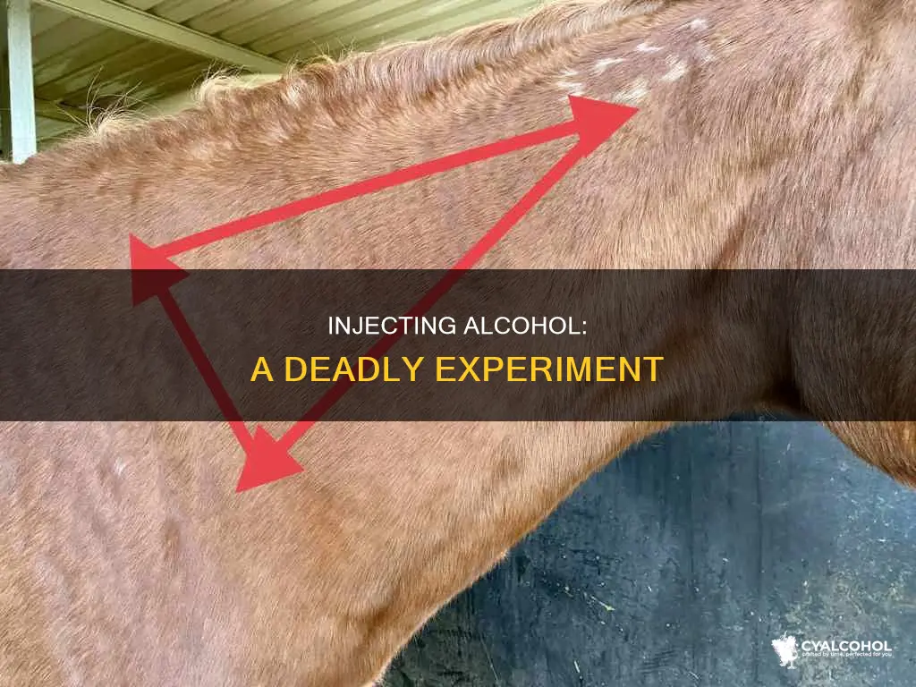 Injecting Alcohol: A Deadly Experiment | CyAlcohol