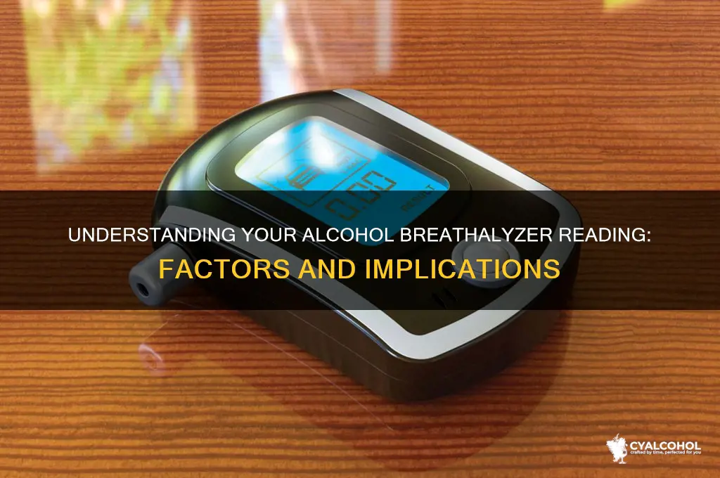 Understanding Your Alcohol Breathalyzer Reading: Factors And ...