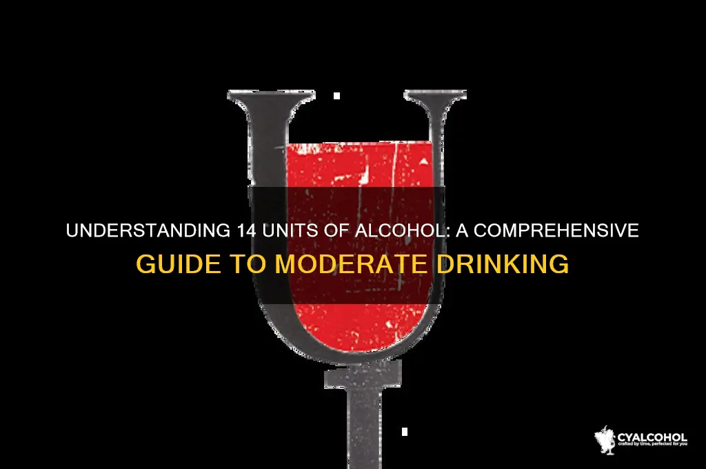Understanding 14 Units Of Alcohol: A Comprehensive Guide To Moderate ...