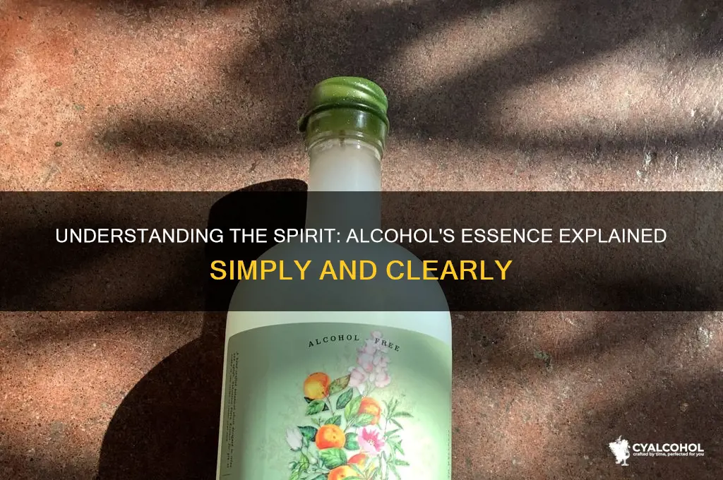 Understanding The Spirit: Alcohol's Essence Explained Simply And ...