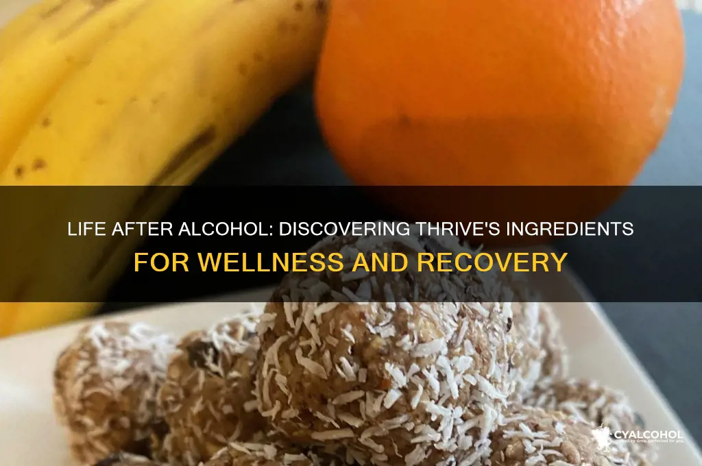 Life After Alcohol: Discovering Thrive's Ingredients For Wellness And ...