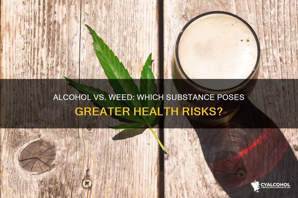 Alcohol Vs. Weed: Which Substance Poses Greater Health Risks? | CyAlcohol
