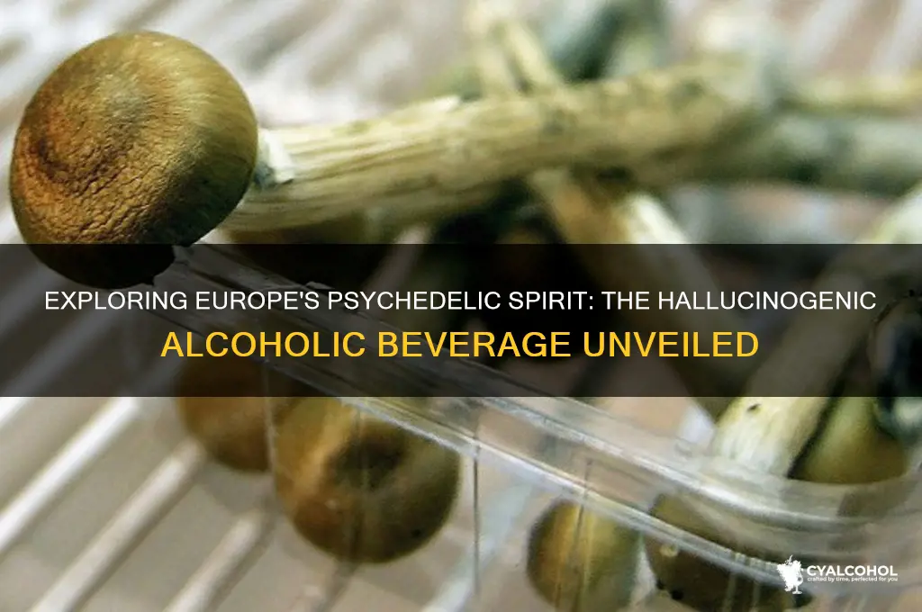 Exploring Europe's Psychedelic Spirit: The Hallucinogenic Alcoholic ...