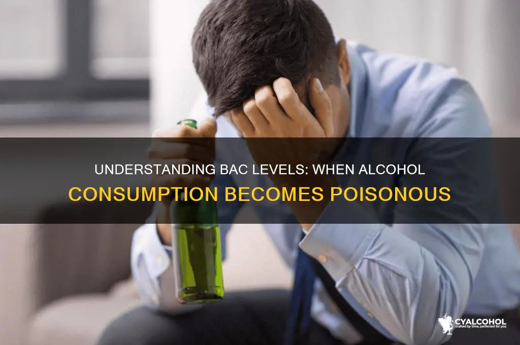 Understanding Bac Levels: When Alcohol Consumption Becomes Poisonous ...