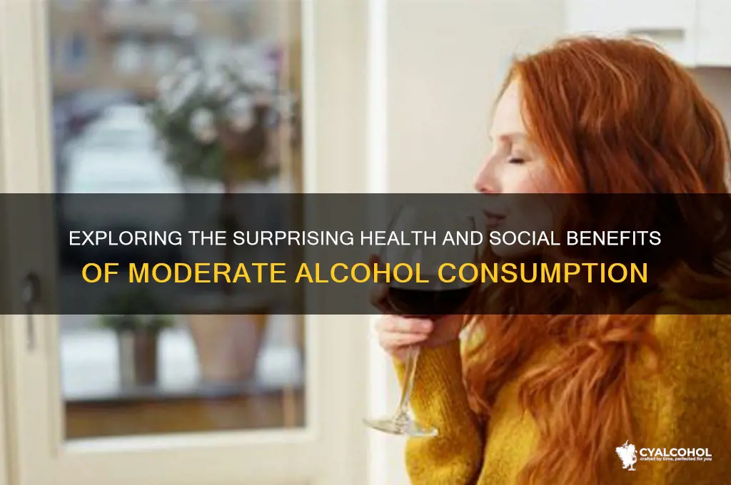 Exploring The Surprising Health And Social Benefits Of Moderate Alcohol ...