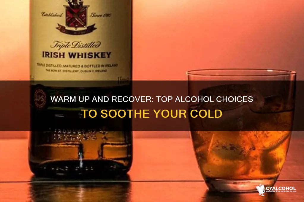 Warm Up And Recover: Top Alcohol Choices To Soothe Your Cold | CyAlcohol
