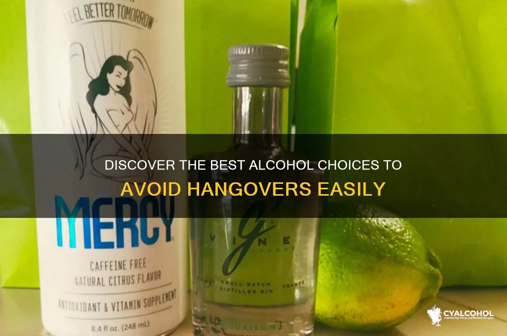 Discover The Best Alcohol Choices To Avoid Hangovers Easily | CyAlcohol