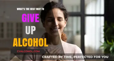 Best Foods To Absorb Alcohol And Ease Hangovers | CyAlcohol