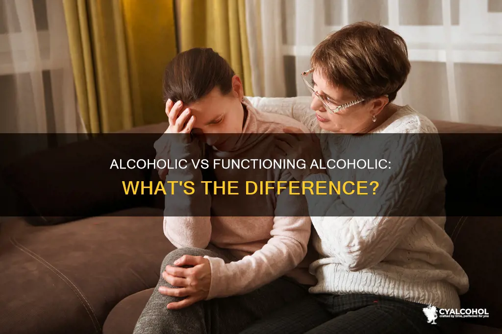 Alcoholic Vs Functioning Alcoholic: What's The Difference? | CyAlcohol