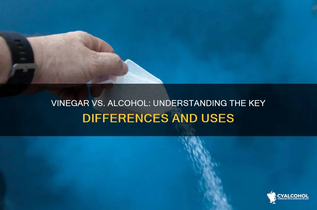 Vinegar Vs. Alcohol: Understanding The Key Differences And Uses | CyAlcohol