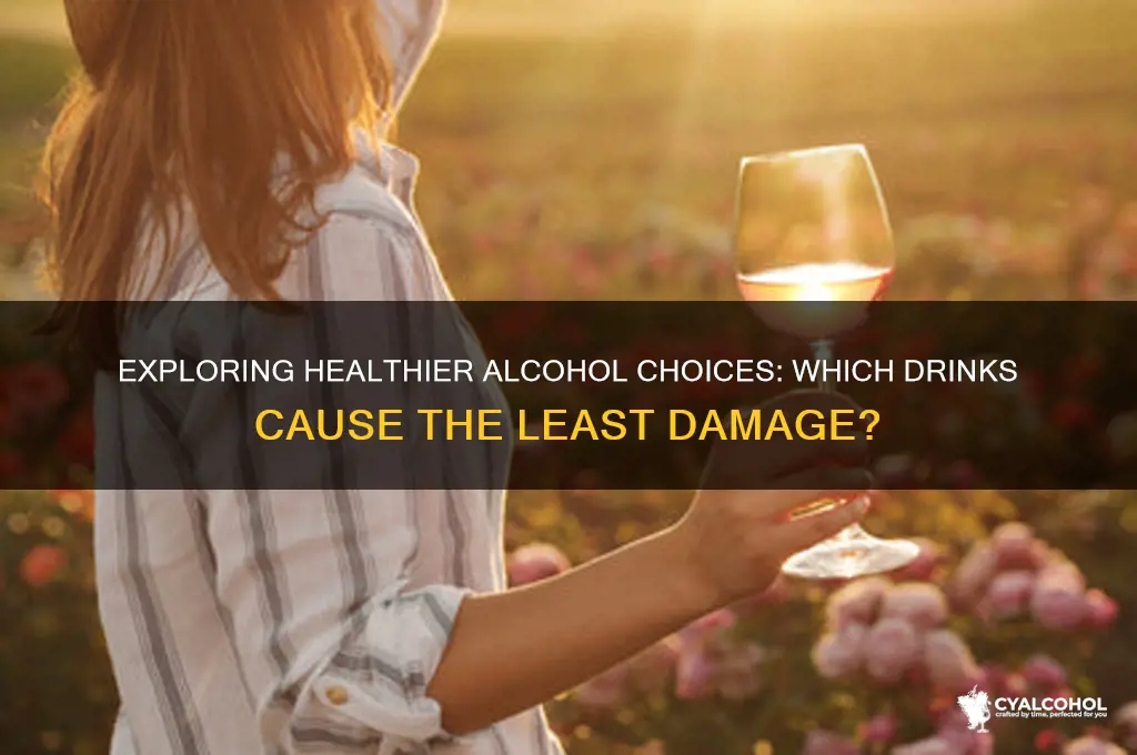 Exploring Healthier Alcohol Choices: Which Drinks Cause The Least ...