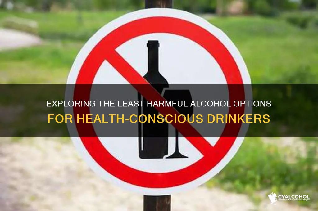 Exploring The Least Harmful Alcohol Options For Health-Conscious ...