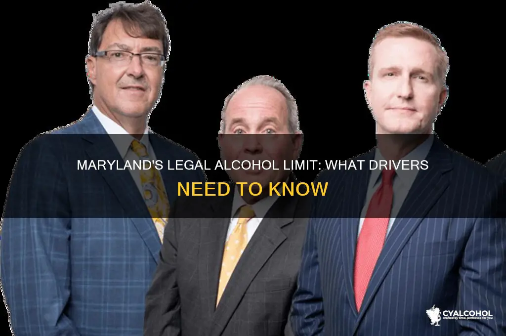Maryland's Legal Alcohol Limit: What Drivers Need To Know | CyAlcohol