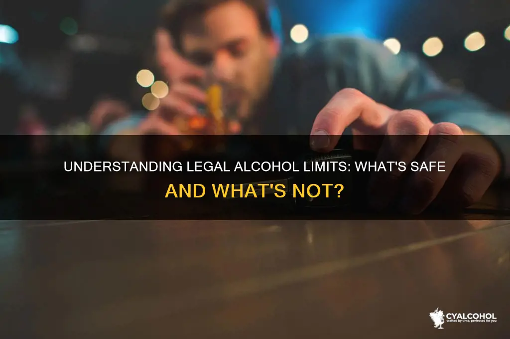Understanding Legal Alcohol Limits: What's Safe And What's Not? | CyAlcohol