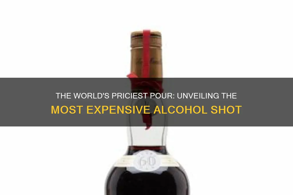 The World's Priciest Pour: Unveiling The Most Expensive Alcohol Shot ...