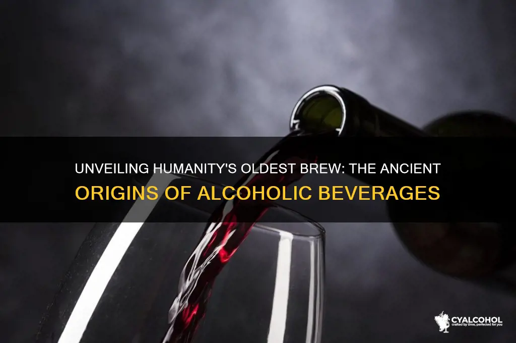 Unveiling Humanity's Oldest Brew: The Ancient Origins Of Alcoholic ...