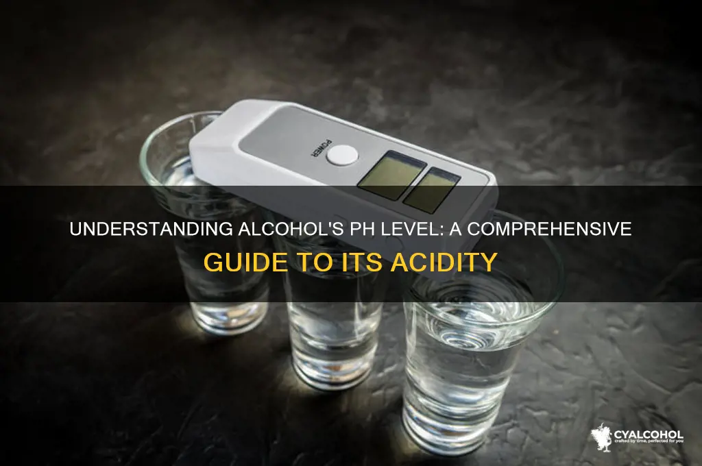 Understanding Alcohol's Ph Level: A Comprehensive Guide To Its Acidity ...