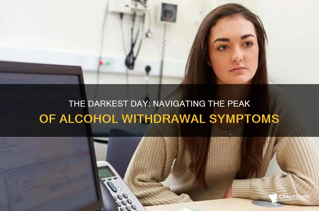 The Darkest Day: Navigating The Peak Of Alcohol Withdrawal Symptoms ...
