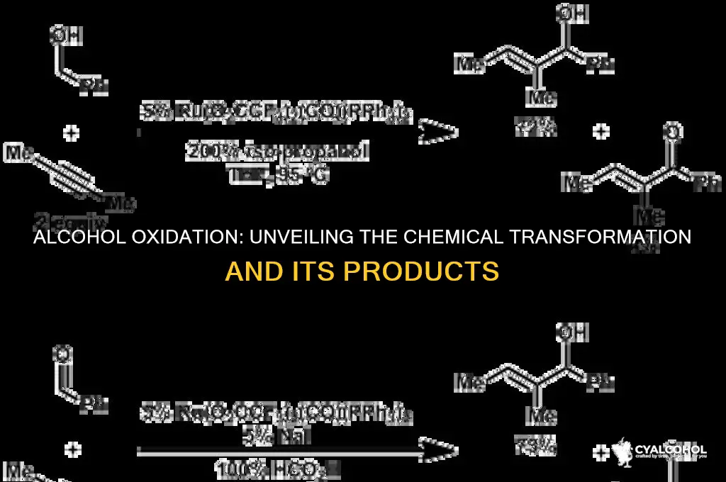 Alcohol Oxidation: Unveiling The Chemical Transformation And Its ...
