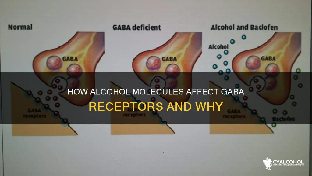 How Alcohol Molecules Affect Gaba Receptors And Why | CyAlcohol