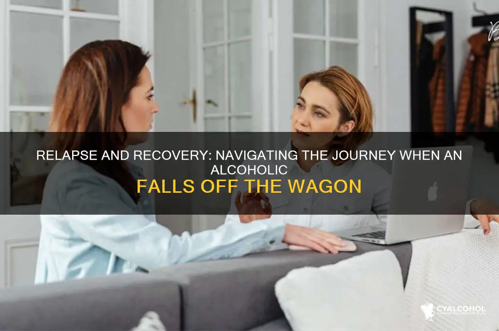 Relapse And Recovery: Navigating The Journey When An Alcoholic Falls ...