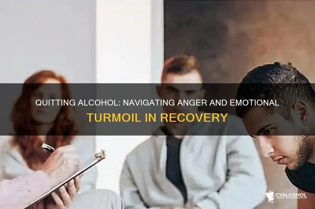 Quitting Alcohol: Navigating Anger And Emotional Turmoil In Recovery ...