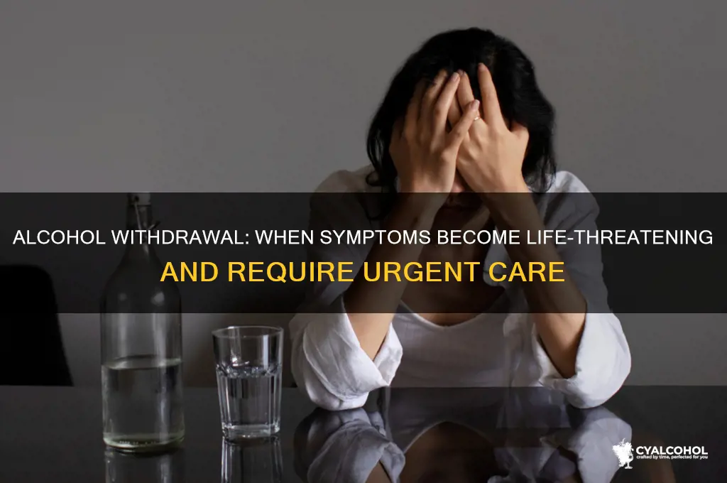 Alcohol Withdrawal: When Symptoms Become Life-Threatening And Require ...